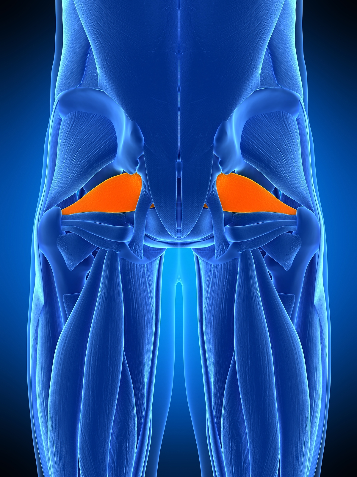 Great Exercises to Relieve Pain From Piriformis Syndrome — Healing ...