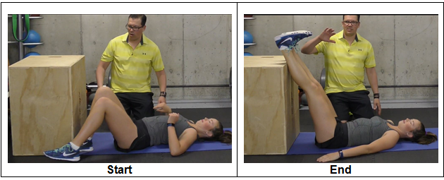 5 Awesome Hamstrings Stretches to Avoid Soreness After Exercising ...