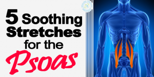 5 Soothing Stretches for the Psoas — Healing Through Movement